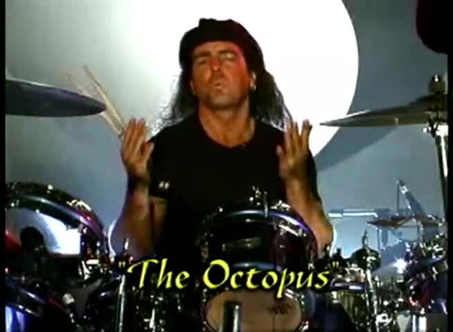The Octopus - Bobby Rock