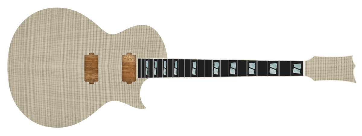 ECLIPSE - Kristan B. - The ESP Guitar Company
