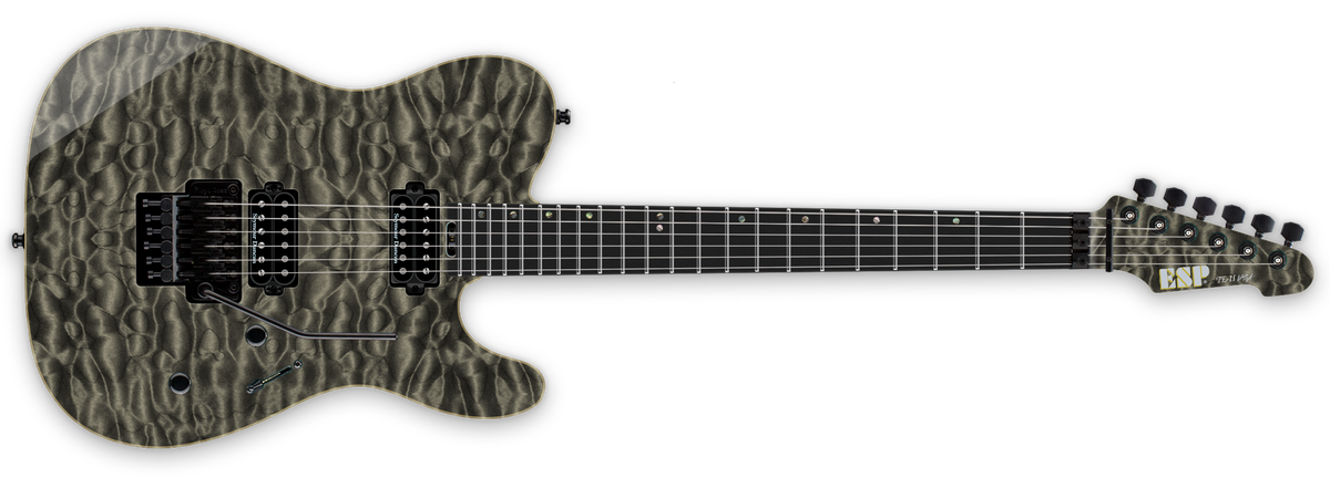 TE-II FR - CharlesD - The ESP Guitar Company