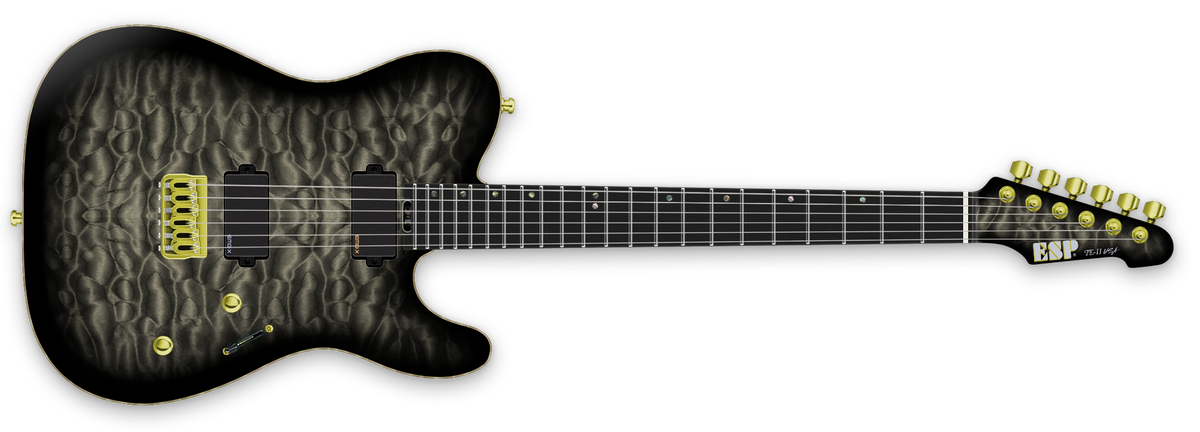 TE-II HARDTAIL - Kris Sheehan - The ESP Guitar Company