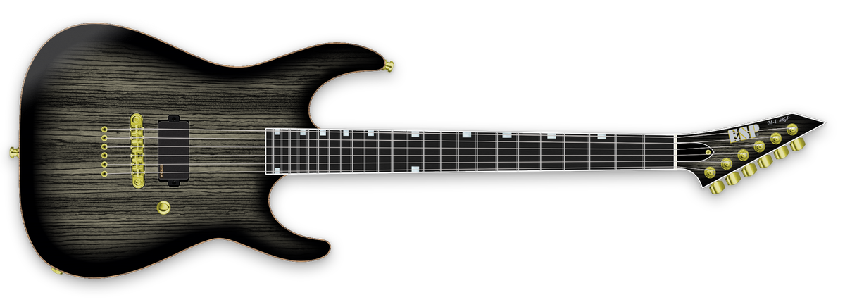 M-I NTB NT - Kris Sheehan - The ESP Guitar Company