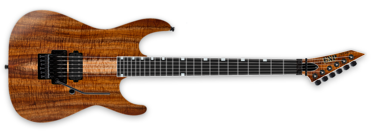 M-I FR-DLX - Aron Z. - The ESP Guitar Company