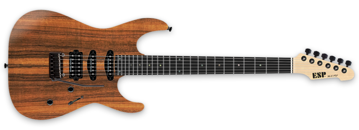 M-III GT - Asher A. - The ESP Guitar Company