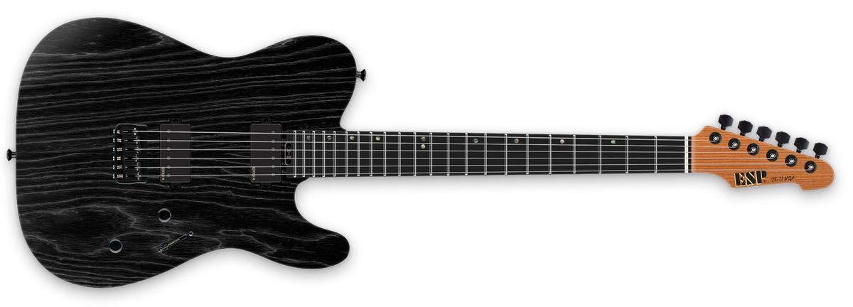 TE-II HARDTAIL - Thomas Leal S. - The ESP Guitar Company