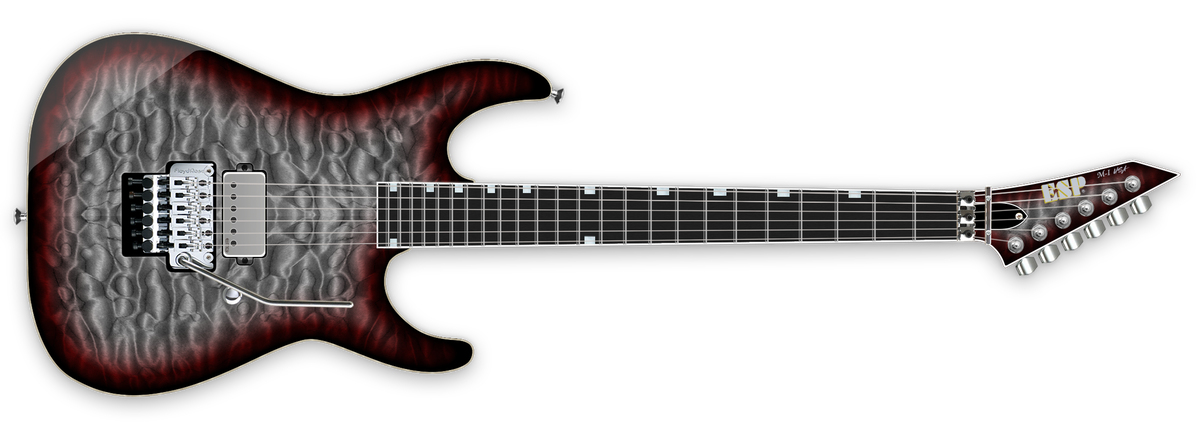 M-I FR-DLX - Benjamin S. - The ESP Guitar Company