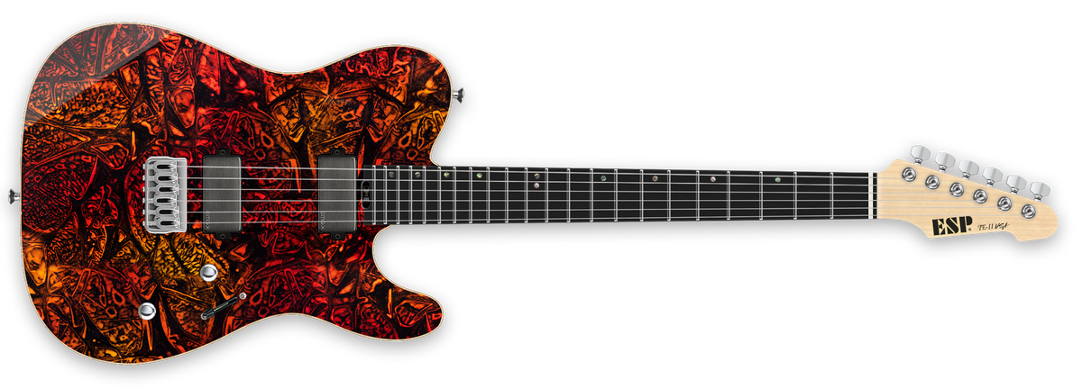 TE-II HARDTAIL - Kevin S. - The ESP Guitar Company