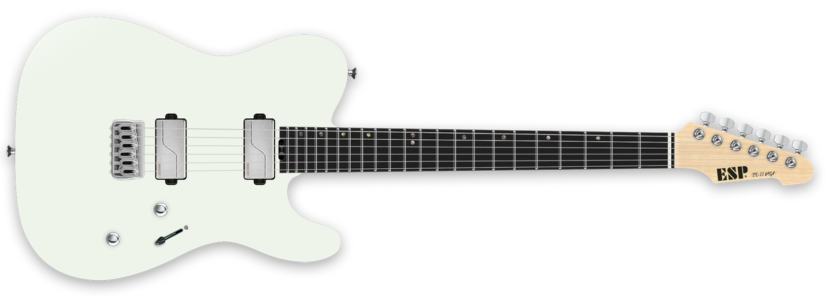 TE-II HARDTAIL - GUILLAUME P. - The ESP Guitar Company
