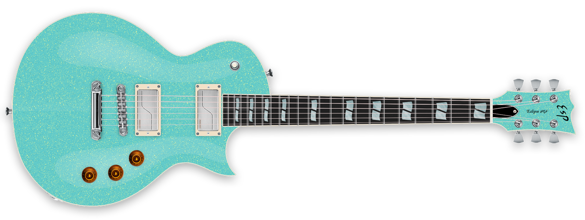 ECLIPSE - Bryan H. - The ESP Guitar Company