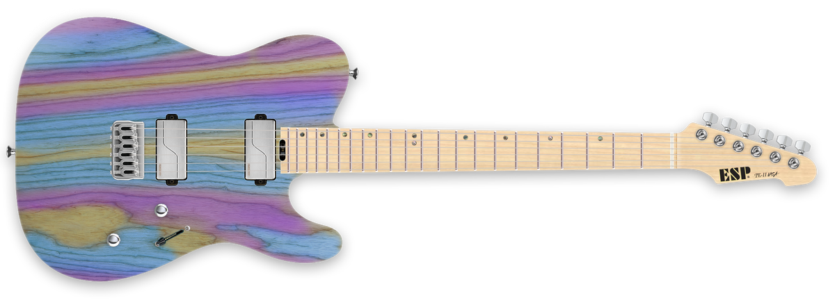 TE-II HARDTAIL - Matthew H. - The ESP Guitar Company