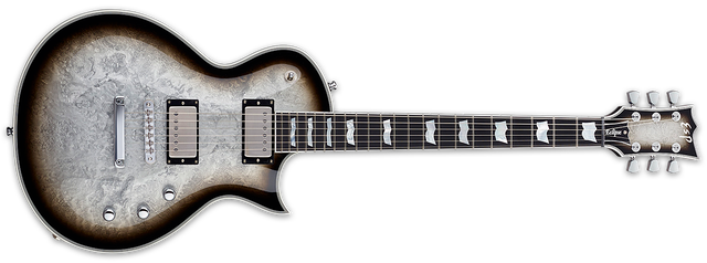 ESP ECLIPSE CUSTOM - The ESP Guitar Company