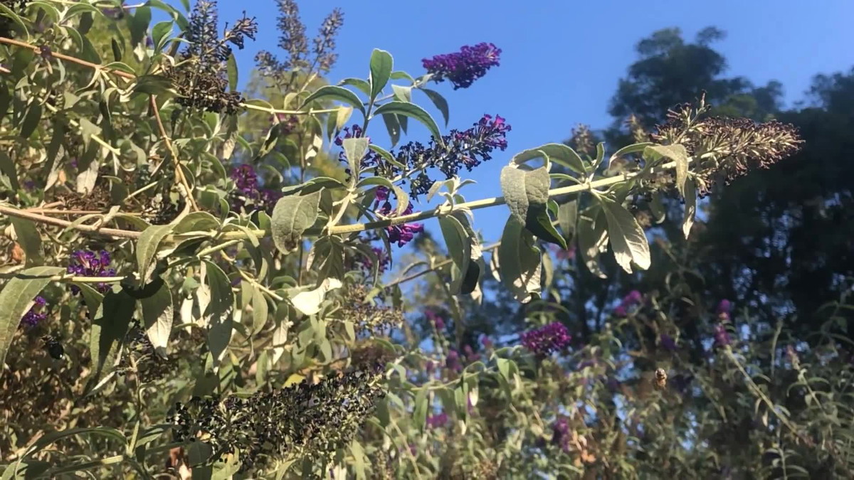 AWORKOFART - Kurt Morgan