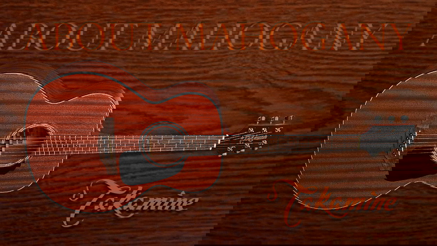 Understanding Mahogany and Its Variations - Takamine