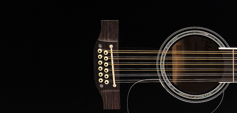 Takamine 12-String Setup - Requinto-Style - Takamine